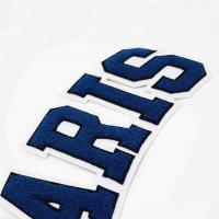 China Cheap Custom Embroidered Big Logo Colorful Embroidery Towel Chenille Letters Patches Applique for Clothes and Cap for sale