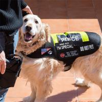 China Custom Service Dog  Dog Vest Patches Removable Tactical Patches Embroidered Fastener Hook Loop Patch for sale