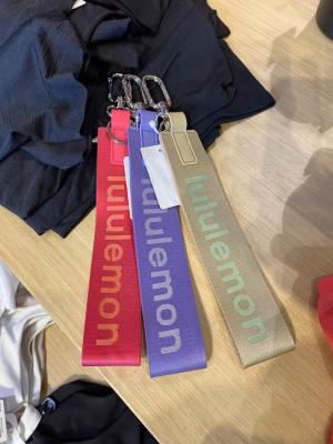 China Ornaments Bags Clothing Premium Lanyard Pendants Modern Simplicity Light Keychain Nylon Zinc Alloy Keychains for sale