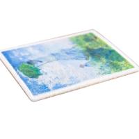 China Wangshun Custom Sublimated Heat Transfer Printed Embroidery Patch Beautiful Umbrella Girl Natural Scenery Chenille Embroidery for sale