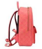 China Printed Nylon Leather Unisex Backpack for Daily Use Functional Backpack for Work for sale