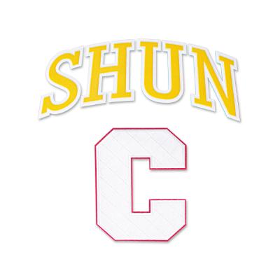 China Colorful Rainbow Alphabet Embroidered Shadow Patches Chenille Fabric for Adhesive Ironable Application on Hats or Clothing for sale