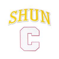 China Colorful Rainbow Alphabet Embroidered Shadow Patches Chenille Fabric for Adhesive Ironable Application on Hats or Clothing for sale