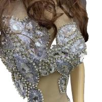 China Sequin Embroidery Patches for Evening Wear & Special Occasions - Custom Sequin Patch Manufacturer for sale