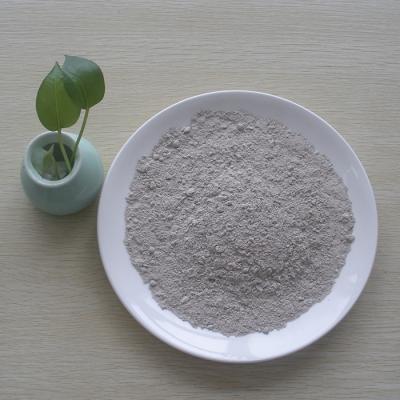 China Light Weight Castable Refractrory Use High Tenperature Industrrial Furnace for sale