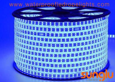 China Waterproof Blue LED Rope Light AC 220V SMD2835 180D Double Line For Meeting Room for sale