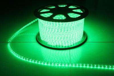 China High Bright Waterproof Led Rope Lights AC110V 3528 60D Green LED Ribbon Tape for sale