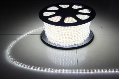 China Flexible Waterproof Led Rope Lights AC 220V 3528 60D Neutral White LED Tape Light for sale