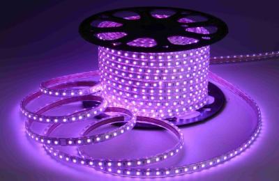 China High Voltage Waterproof LED Rope Lights 220v 5050 60D Purple LED Ribbon Lights for sale