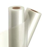 China Translucent PET Motor Film Multiple Extrusion 125mic Milky White for sale
