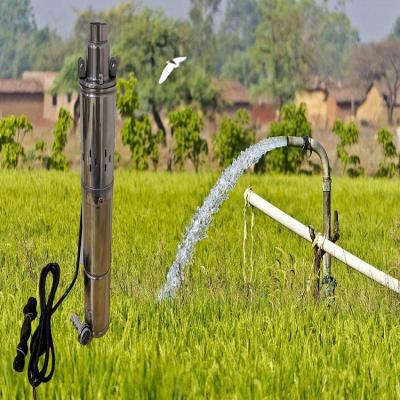 China Whaleflo bldc solar submersible water pump for deep well 500W outlet port 1 inches maxi flow 2T/H maxi head for sale