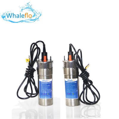 China Whaleflo WEL2460-30 24V 12LPM Max Lift 100 M 5.0 A DC Solar Powered Submersible Water Pump System For Farm Irrigation for sale