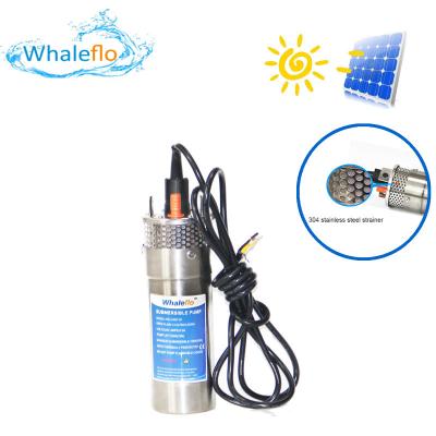 China Whaleflo 12LPM 3M Cable 24 Volts Stainless Steel Borehole Submersible Solar Water Pump for Irrigation for sale