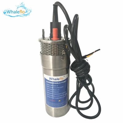 China Whaleflo 12LPM Submersible Deep Well Solar Powered Bore Water Pumps Factory Direct for sale