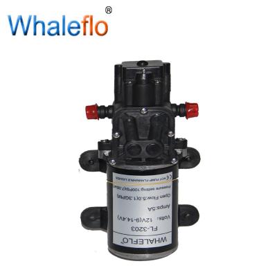 China Whaleflo FL-3202 12V 5.0LPM 80PSI Small Electric 5.5bar Diaphragm Sprayer Water Pump for sale