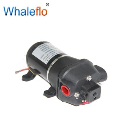 China Whaleflo 12.5LPM 35 PSI 12V self priming electric water pump/Caravan Water Pressure Pump for sale