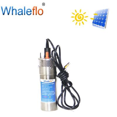 China Whaleflo 12V Solar Pump 720LPH Battery Powered Agricultural Spray Irrigation Water Pumps for Deep Well for sale