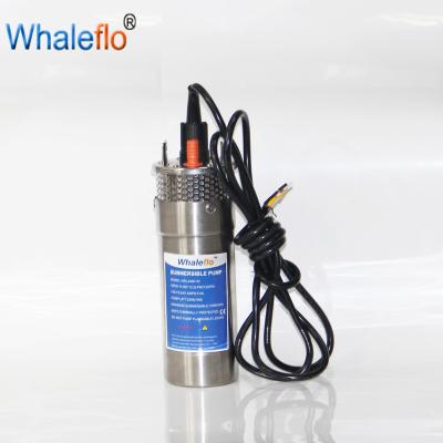 China Whaleflo 720LPH 12V DC high quality portable deep well submersible solar water pump system for sale