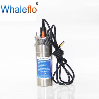 China Whaleflo 8LPM/12LPM/20LPM Stainless Steel Mini Solar Submersible Solar Water Pump 12V/24V for sale