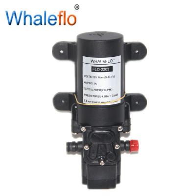 China Whaleflo FLO Series Micro DC Diaphragm Pumps  FLO-2203-1 12VDC 3.1L/MIN 70PSI 2.2 Amps Agricultural 12v Spray Pump for sale