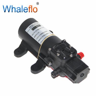 China Whaleflo 12V FLO-2202A 80PSI 4LPM mini electric High Flow water pump/ Driving House pump for sale