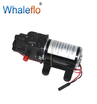 China Whaleflo FL-3206 DC 12v 6A New model 6.0 L/min 65PSI Fresh Water Pump/Self Priming Pressure Pump for sale