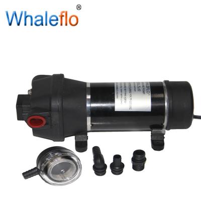 China FL-43 220V AC 40psi 4.5GPM small electric RV water pump self-priming high flow water pump for agriculture irrigation for sale