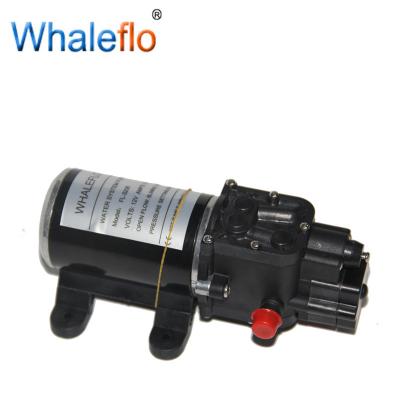 China Whaleflo 12v dc 6lpm 4.1bar mini portable water pressure car wash machine pump for sale