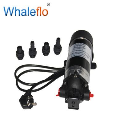 China Whaleflo DP-160M  160PSI 5.5LPM 230v ac self-primig RV water pump for sale