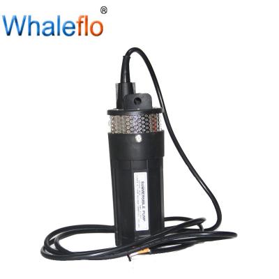 China Whaleflo deep well 12v/24v DC 6LPM solar system for irrigation pumps for sale