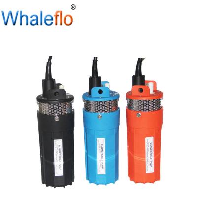 China Whaleflo deep well 12v/24v DC 6LPM solar power system for sale