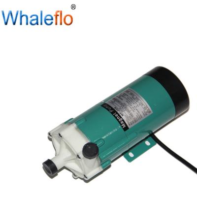 China Whaleflo Self Priming AC/DC Magnetic Drive Pump Chemical Circulating Pump for sale