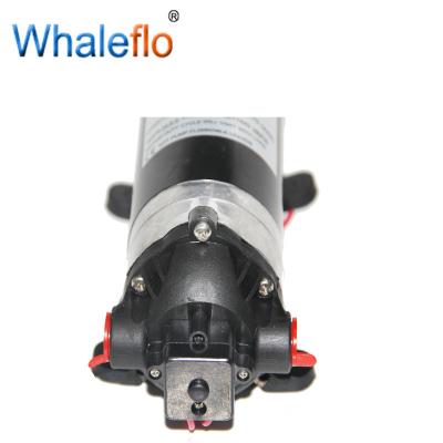 China Whaleflo  Household High Pressure 100 PSI Water purifier 12V/24V Boost RO diaphragm Pump Water Booster pump for sale