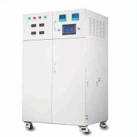 China PLC Small Hypochlorous Acid Generator For Food Industry And Vegetables Preservation for sale
