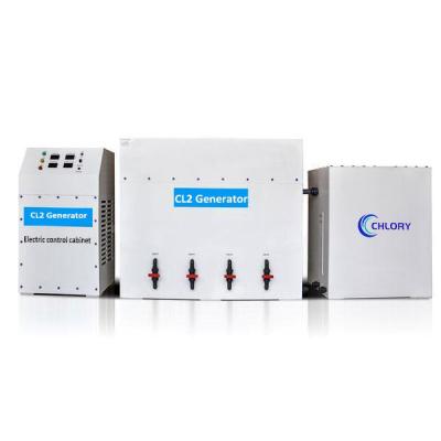 China ECA Technology Chlorine Gas Generator Electrochemical Chlorine Dioxide Generator for sale