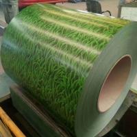 China PPGI Dx51d Grade Prepainted Color Coated Steel Coil Galvanized For Container Plate for sale