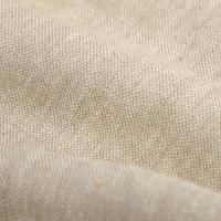 China Heavyweight 100% Linen Woven Fabric TS-L103 - Organic Material for Dresses, Shirts & Home Textiles for sale