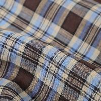China 100% Linen Shirting Fabric TS-M015 5# with Lurex Yarn-Dyed Grid Pattern - Middle Weight Woven Textile for sale