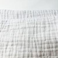 China TS-C1040Z 100% Cotton Crep Fabric Double Layer Medium Weight Woven Textile for Baby Boys Dresses for sale