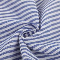 China 150gsm 21s Two-Tone Yarn Dyed Poly Cotton Oxford Fabric for Office Shirts and Apparel - TS-P23A142 for sale
