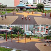 China Outdoor Calisthenics Training Station GYX-ZH11 | 11500×4800×3000mm Galvanized Steel Outdoor Gym Equipment for sale