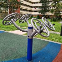China Taichi Spinner Outdoor Fitness Equipment with 4 Adjustable Wheels and Dual-User Capacity for All Ages for sale