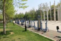 China GYX-X15 Arm Wheels Outdoor Fitness Equipment 1355×935×2000mm with 3.0mm Steel Construction for sale