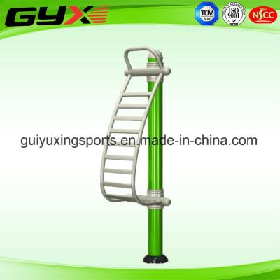 China GYX-A06 Back Extension Equipment 1722mm Height with 3.0mm Steel Pipe and Powder Coated Finish for sale