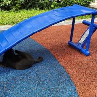 China Outdoor Fitness Sit-Up Board with 3.0mm Pipe Thickness and Japanese Bearings for Public Parks for sale