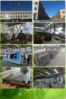 China Outdoor Playground Equipment with Double Air Walker for sale