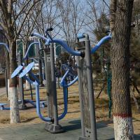 China Outdoor Gym Equipment Star-Picker GYX-A42 with 1200x1200x2900mm Dimensions and 3.0mm Pipe Thickness for sale