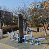 China Outdoor Gym Equipment Star-Picker GYX-A42 with 1200x1200x2900mm Dimensions and 3.0mm Pipe Thickness for sale