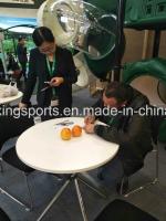 China Pull Chair of Outdoor Fitness Equipment for sale
