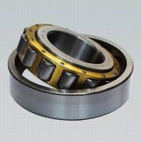 China NTN g50x62x5 ABEC-1 / ABEC-3 Cylindrical Roller Bearing withou out ring for sale